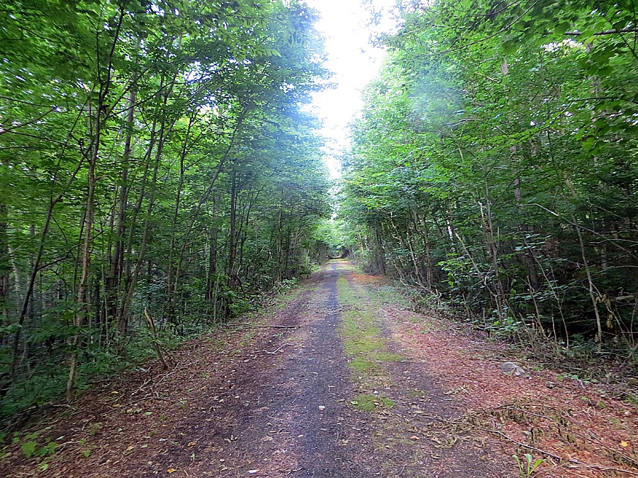 Hiking in the White Mountains: King Ravine to Mount Adams