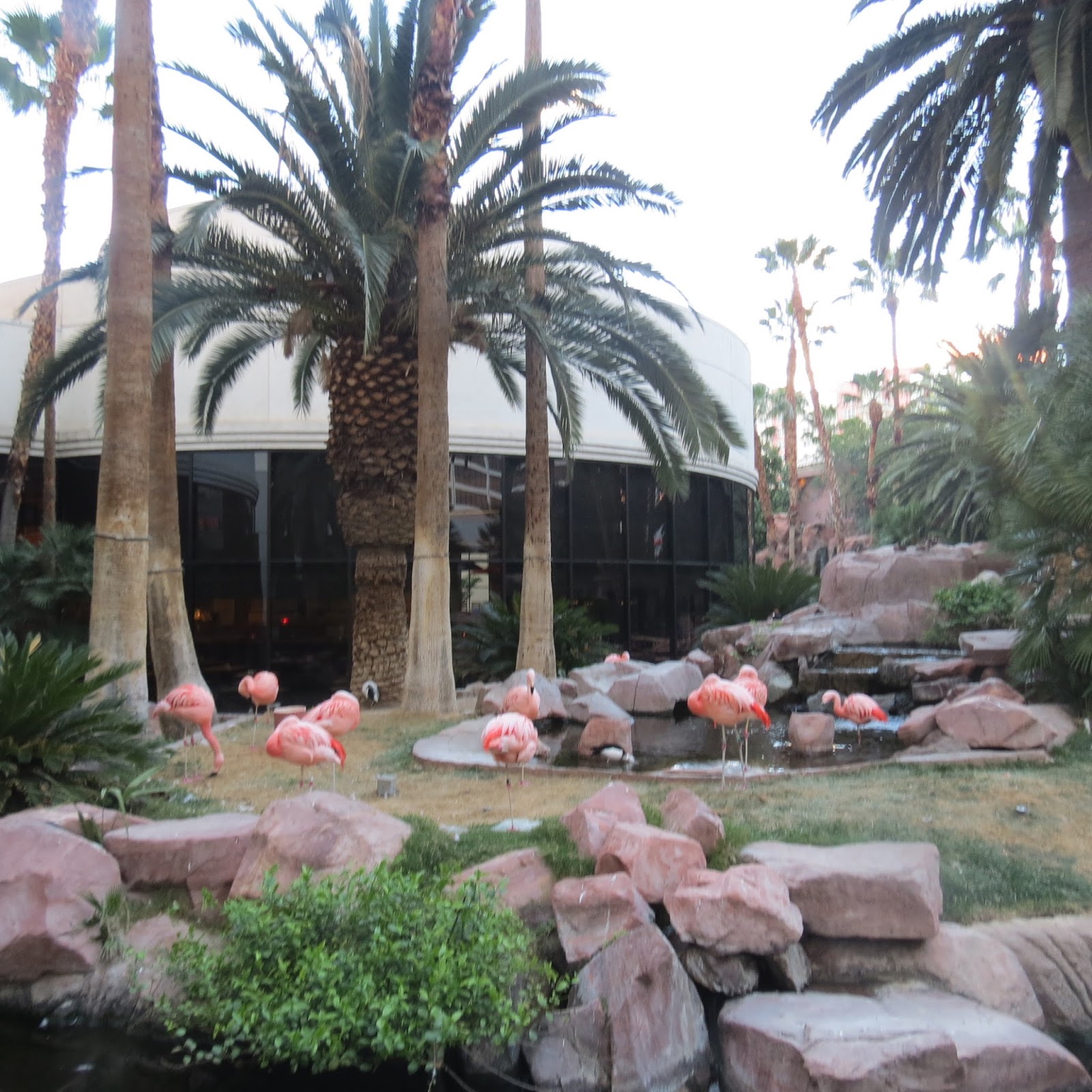 Adventures in PEI and Beyond!: Visiting the Wild Life Habitat at the ...