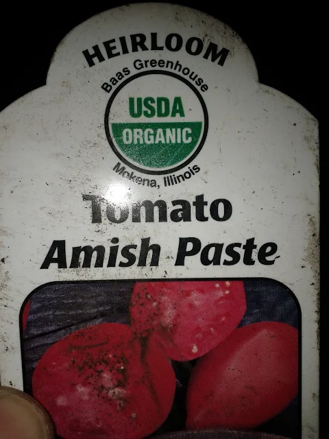 Amish Paste Tomato - Part of my Plum Strategy
