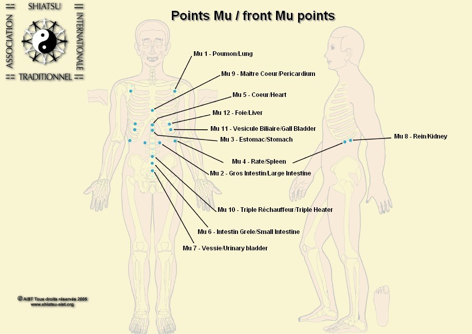Acupuncture Treatment : Front MU - Alarm Points