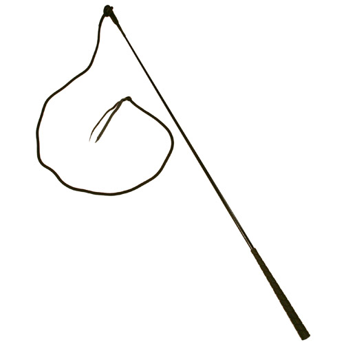 Žirgų takas: Arklidžių žargonas ir terminologija