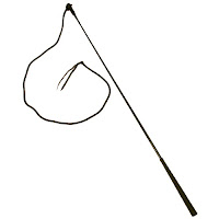 Žirgų takas: Arklidžių žargonas ir terminologija