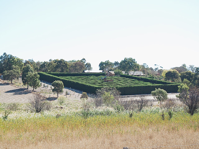 Barrabool Maze Estate Ceres Review | Yellow Dandy