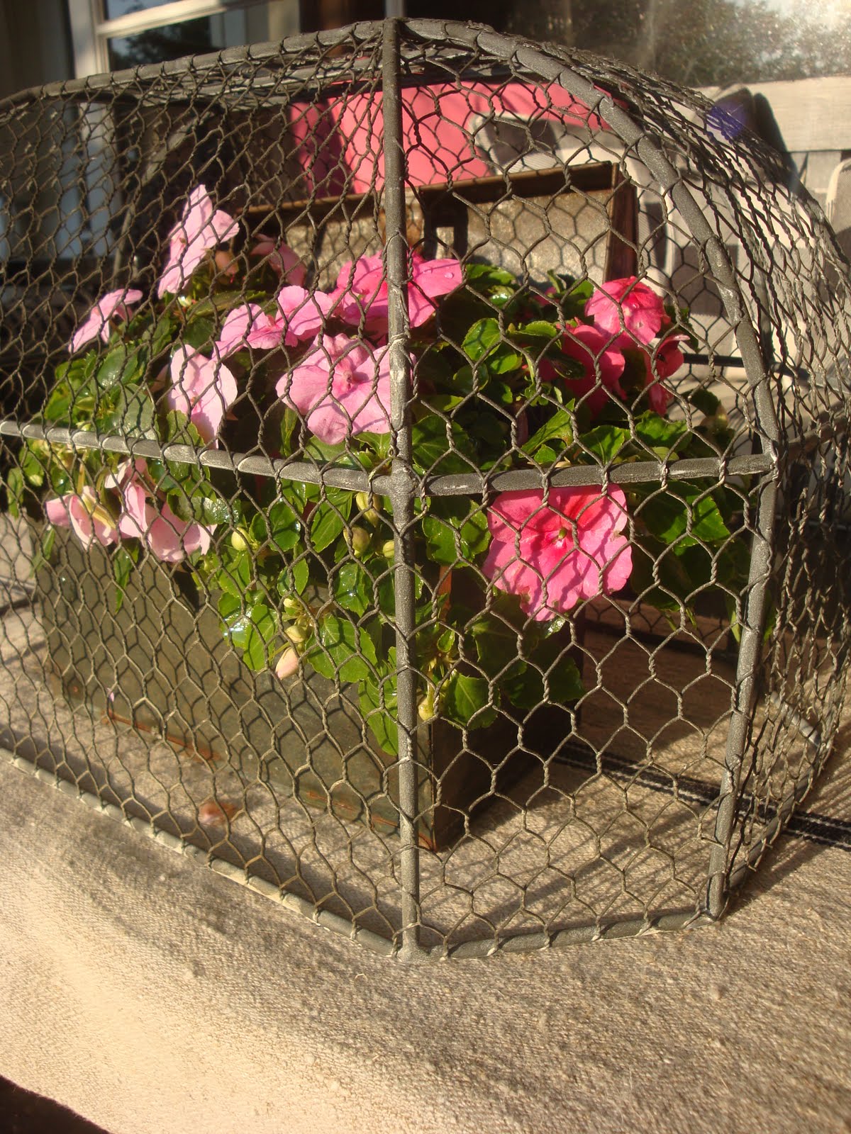 The Polohouse: What's in your cloche?