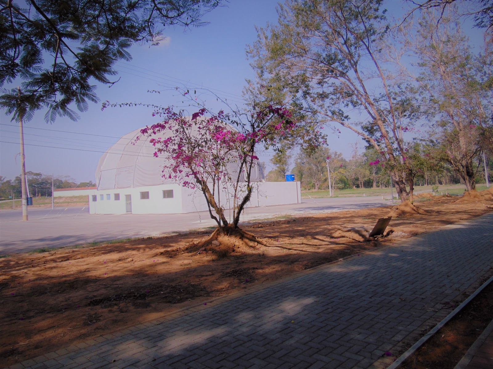 Parque da Cidade - Pindamonhangaba - SP