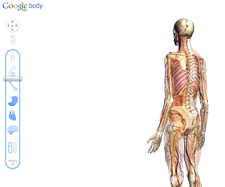 Body Browser y WebGL | ActivInspire
