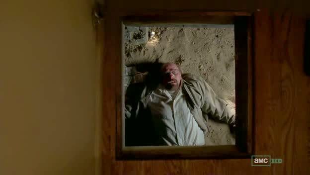Breaking Bad TV Review Zoo: 4.11 Crawl Space