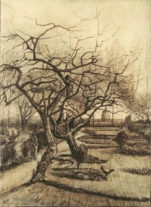 Vincent Van Gogh | Drawings for study | Tutt'Art@ | Pittura * Scultura ...