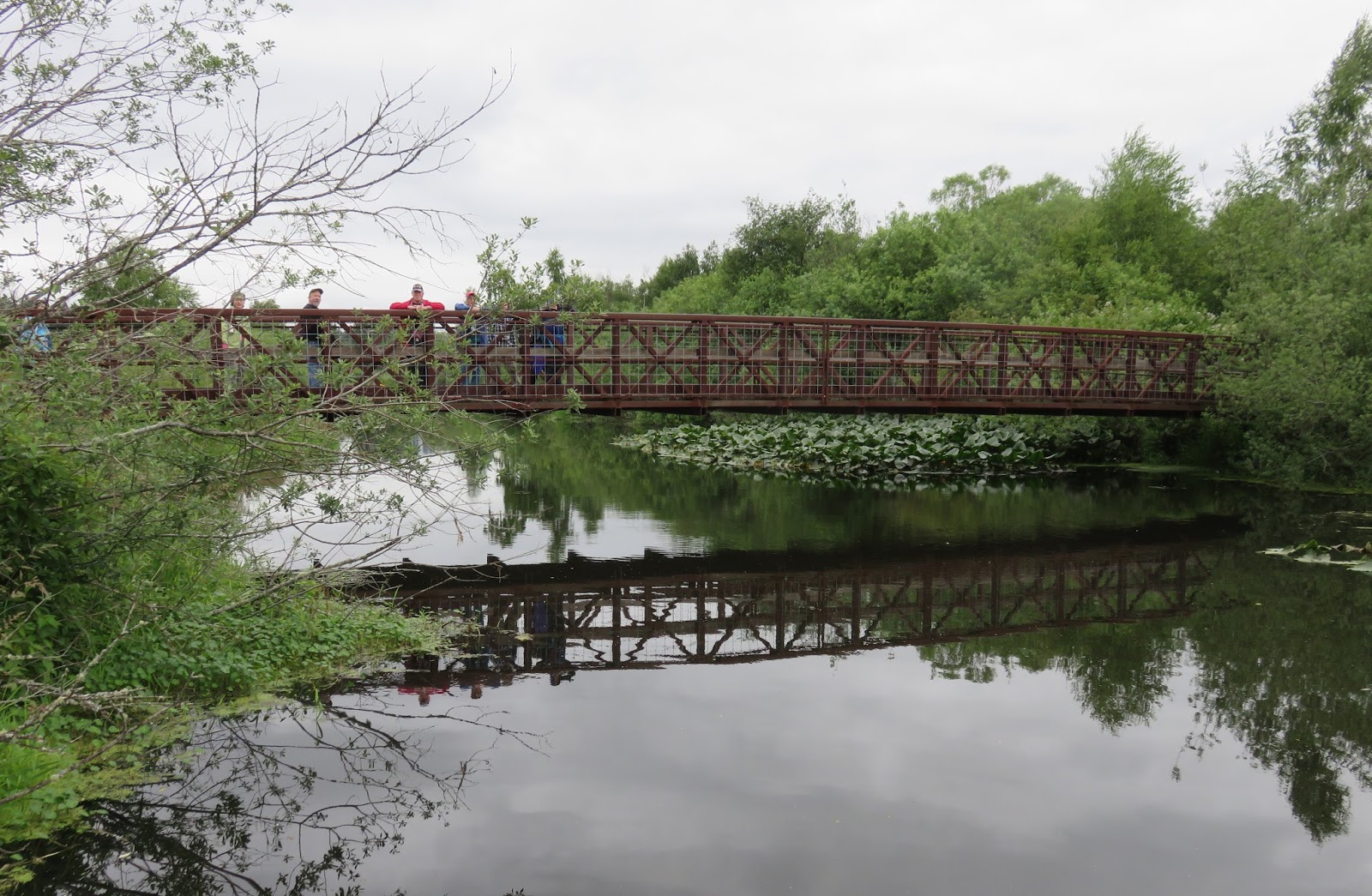 Writing With a Texas Twang: Mercer Slough - #SaturdaySnapshots