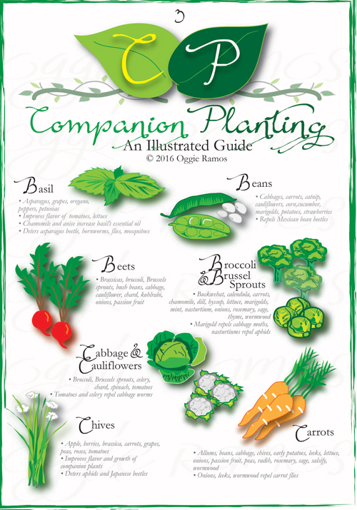 Lagalog Philippines Travel Photography Blog: Companion Planting eBook ...
