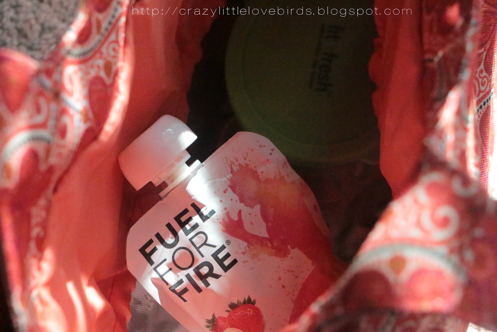 Review: Fuel For Fire Fruit + Protein smoothie.