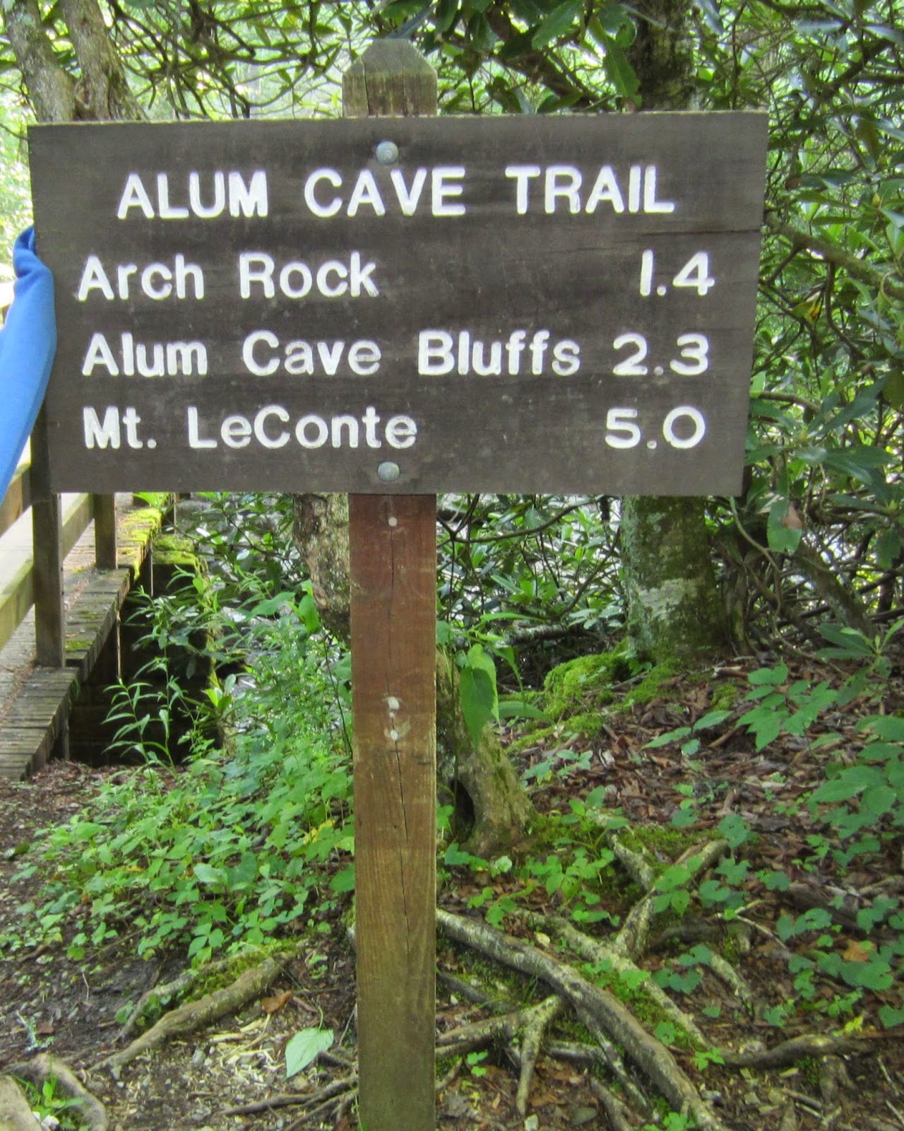 1GR8VACATION: Great Smoky Mountain - Hiking Trails