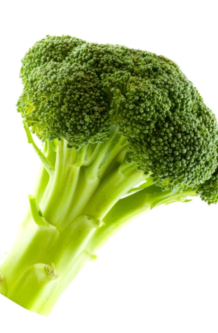 O que semear em Abril - REVISTA REVIVER