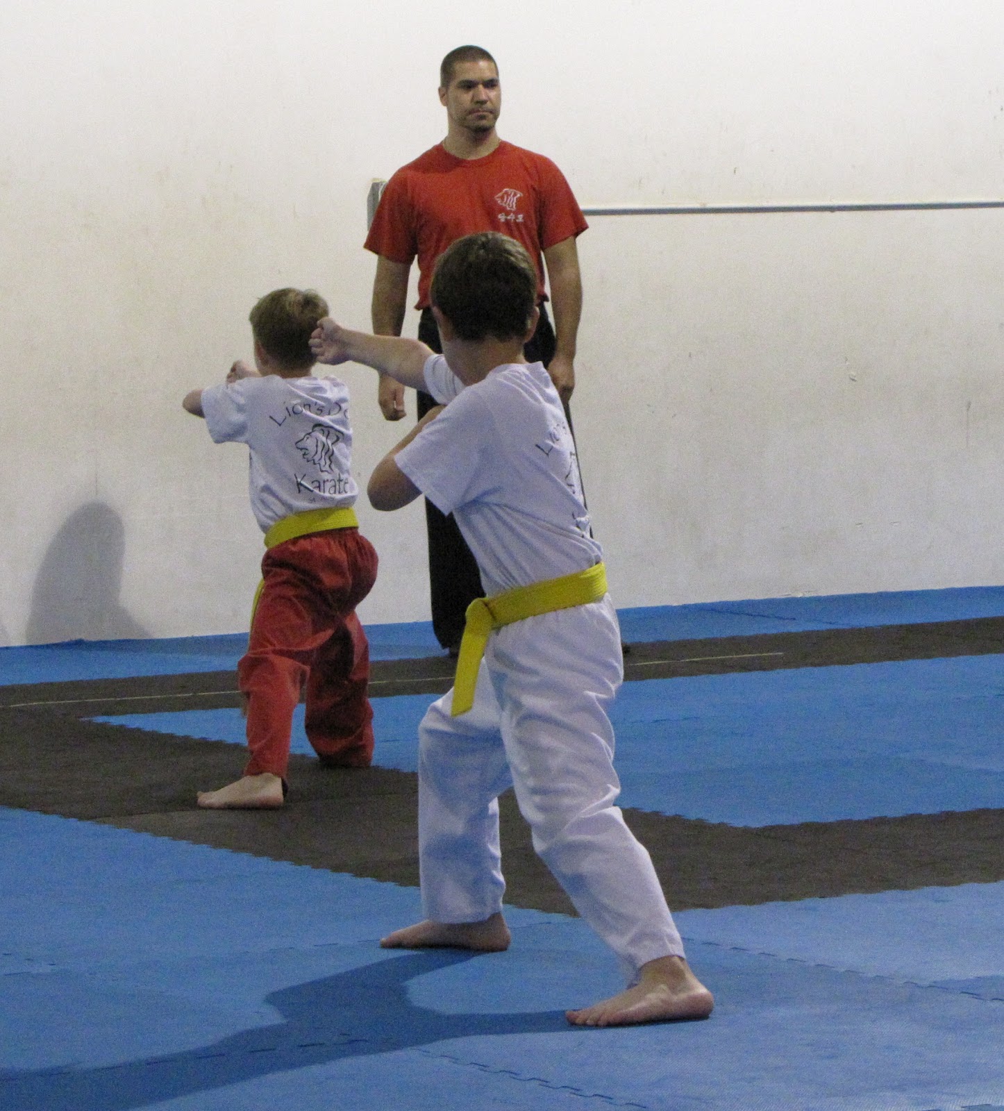 Family American Style: Karate Test