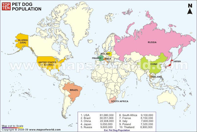 Top Dog Blog!: Worldwide Dog Population