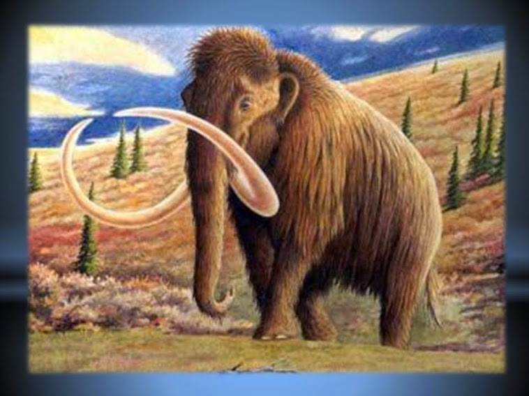 La Prehistoria en el Ecuador: La Prehistoria y sus animales