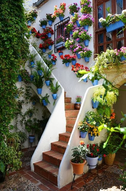 Stunning Views: The Courtyard