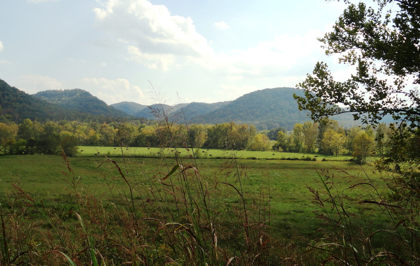 View topic - ฬє ARE ᴍᴜsᴛᴀɴɢs Ω remake Ω closed / not accepting ...