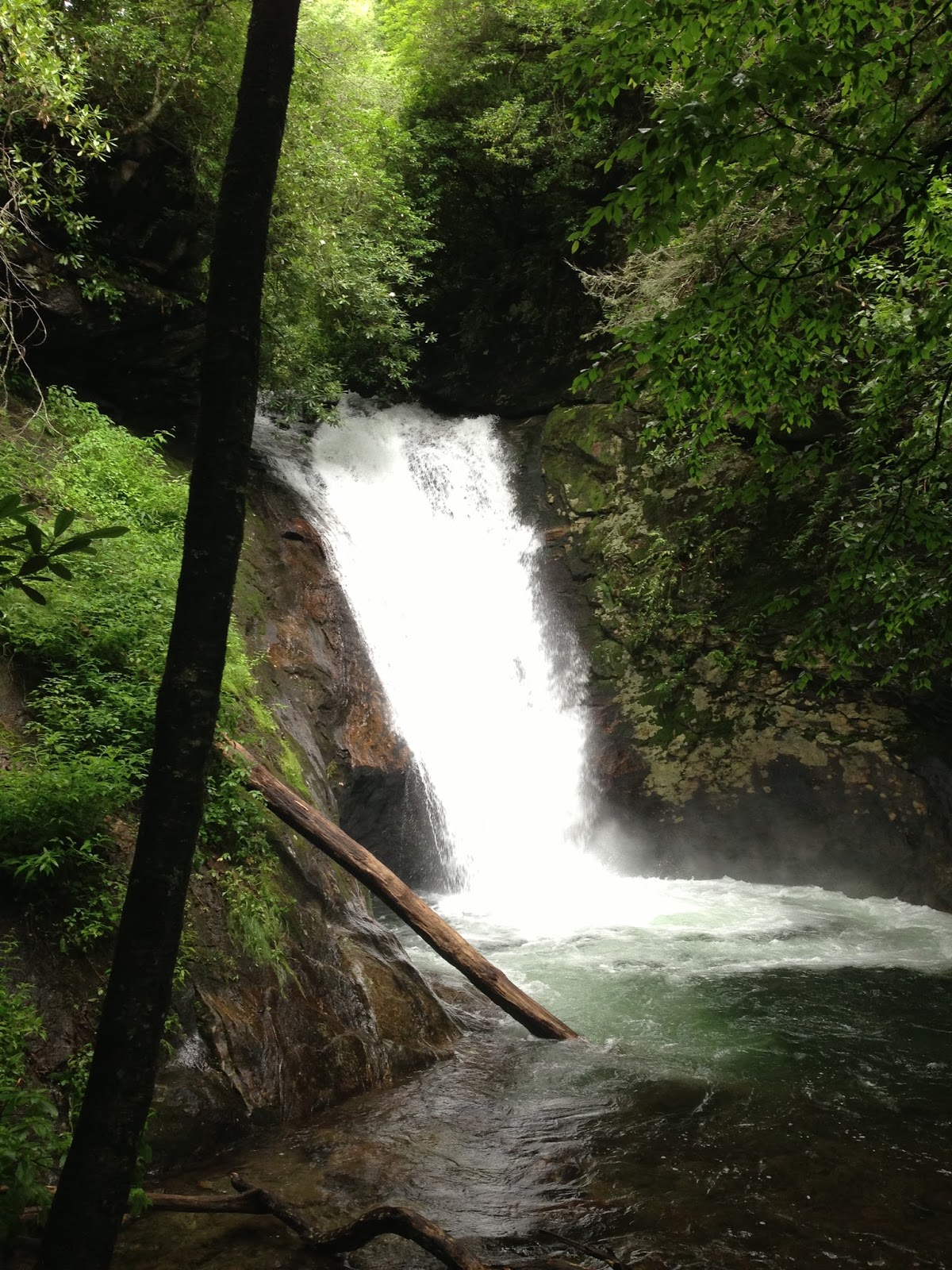 JuneBug Commentary: June 2013
