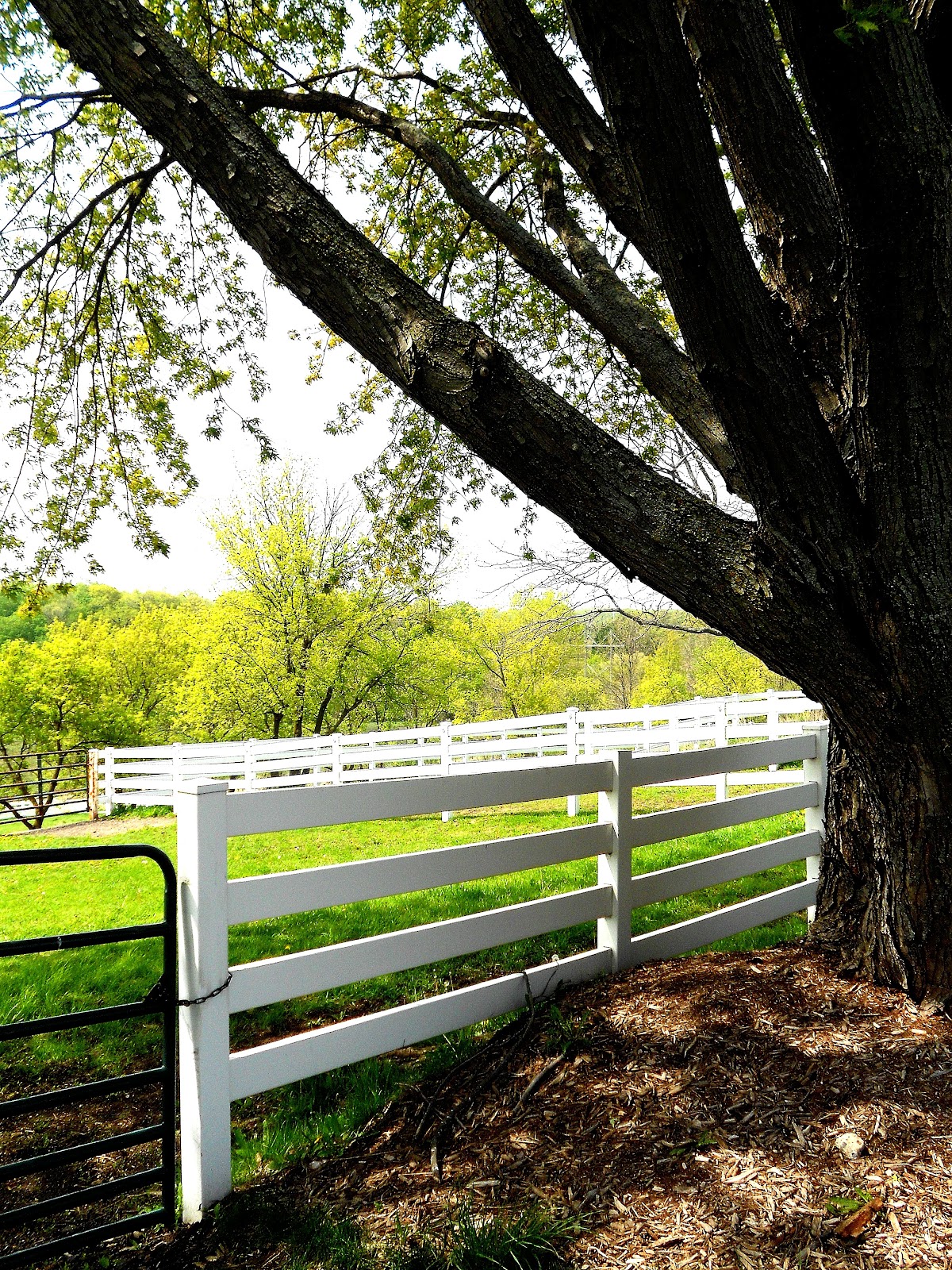 Smitten: Farewell Farm