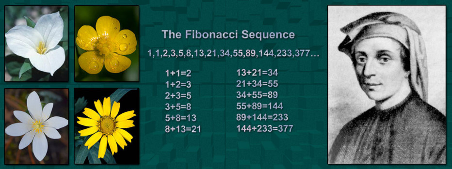 MathsEasyLearn: Fibonacci Series/Number/Sequence (God number series ...
