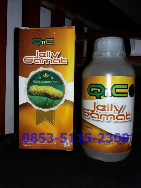 Khasiat Dan Manfaat Jelly Gamat QnC Asli ~ Jelly Gamat QnC