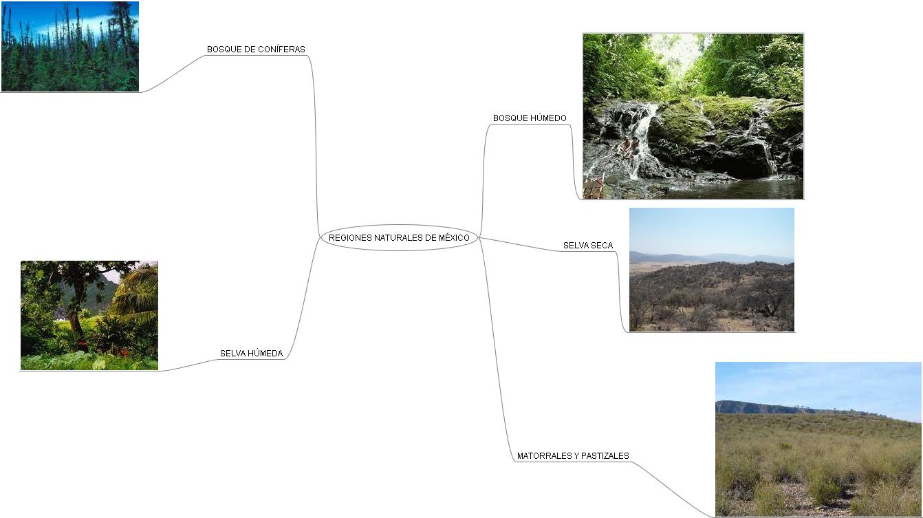 Regiones Naturales de México: Algo
