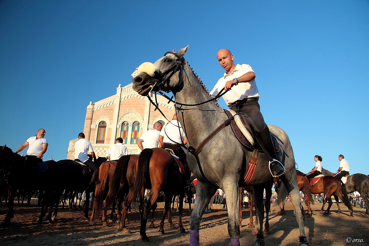 orso-photos: cavalli e cavalieri