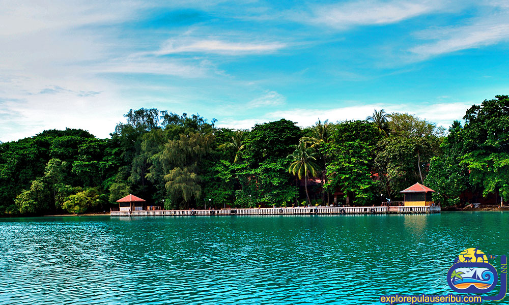 Hening dan Bening di Pulau Pemagaran | Explore Pulau Seribu Indonesia