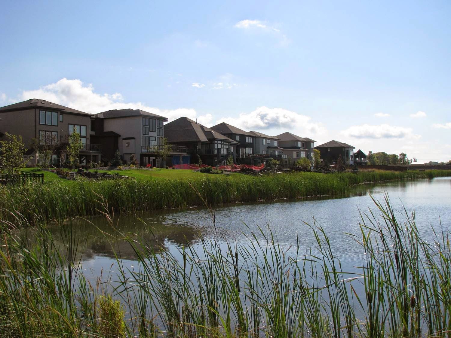 EcoFriendly Sask: Protecting and Constructing Urban Wetlands