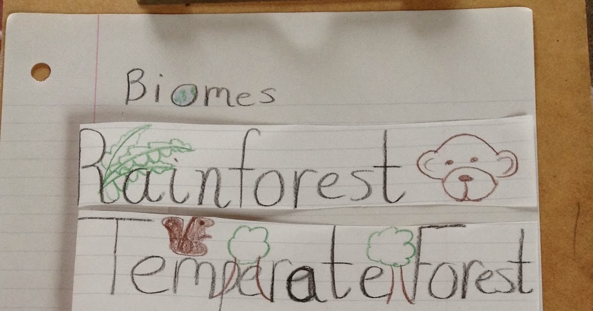 Science Education Idea Exchange: Biomes Foldable