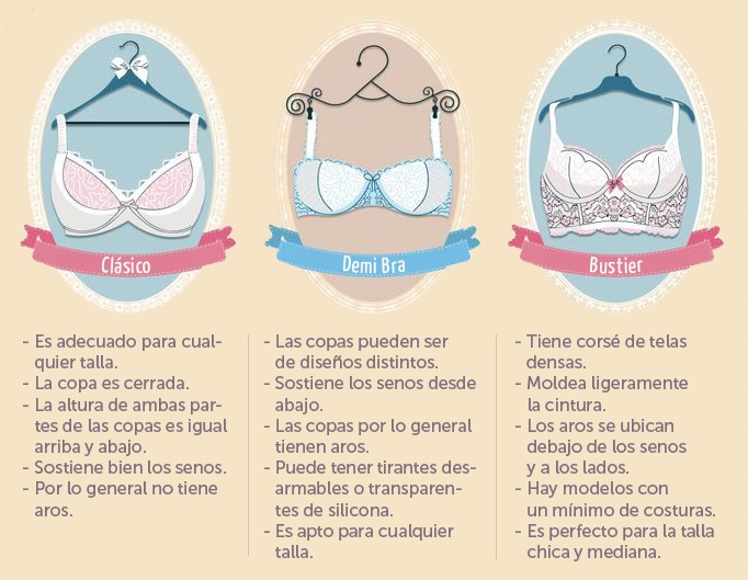 Diferencias Entre Copas De Brasier | atelier-yuwa.ciao.jp