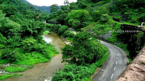 Kumaar Holidays : JOURNEY TO THENMALA - ENTHRALLING ECO TOURISM SPOT