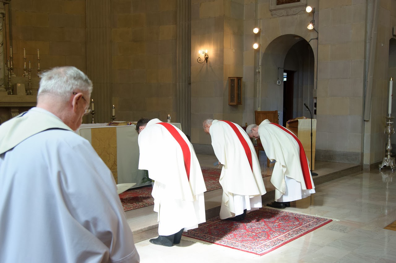 Fr Jack SJ MD: Final Vows Received by Father General Nicolás