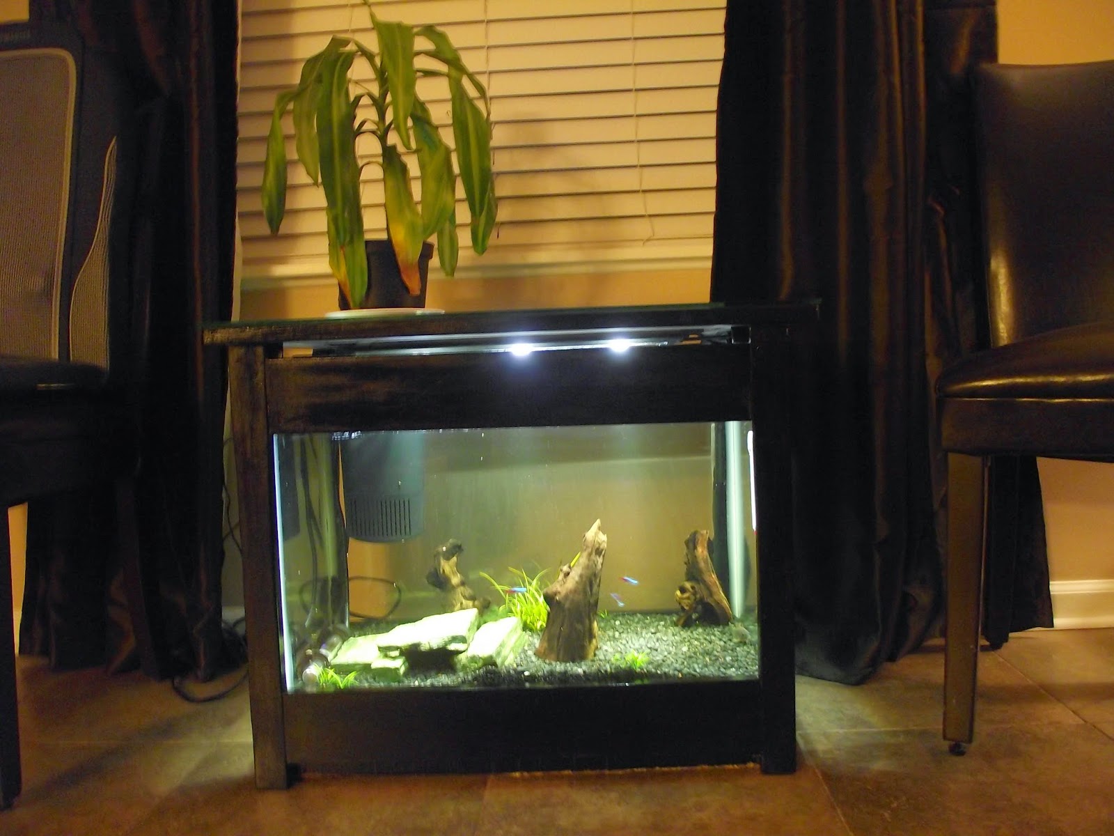 Jose's DIY Ideas : Fish tank coffee table