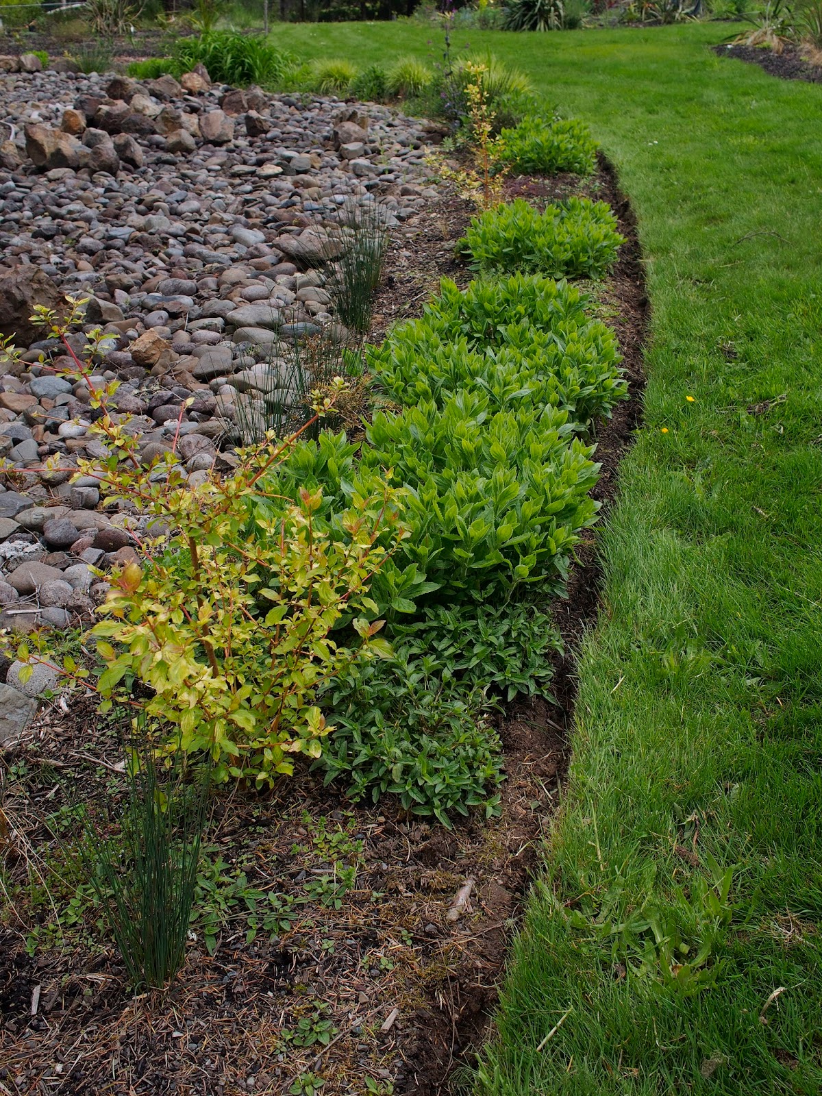 Wednesday Wide Shots