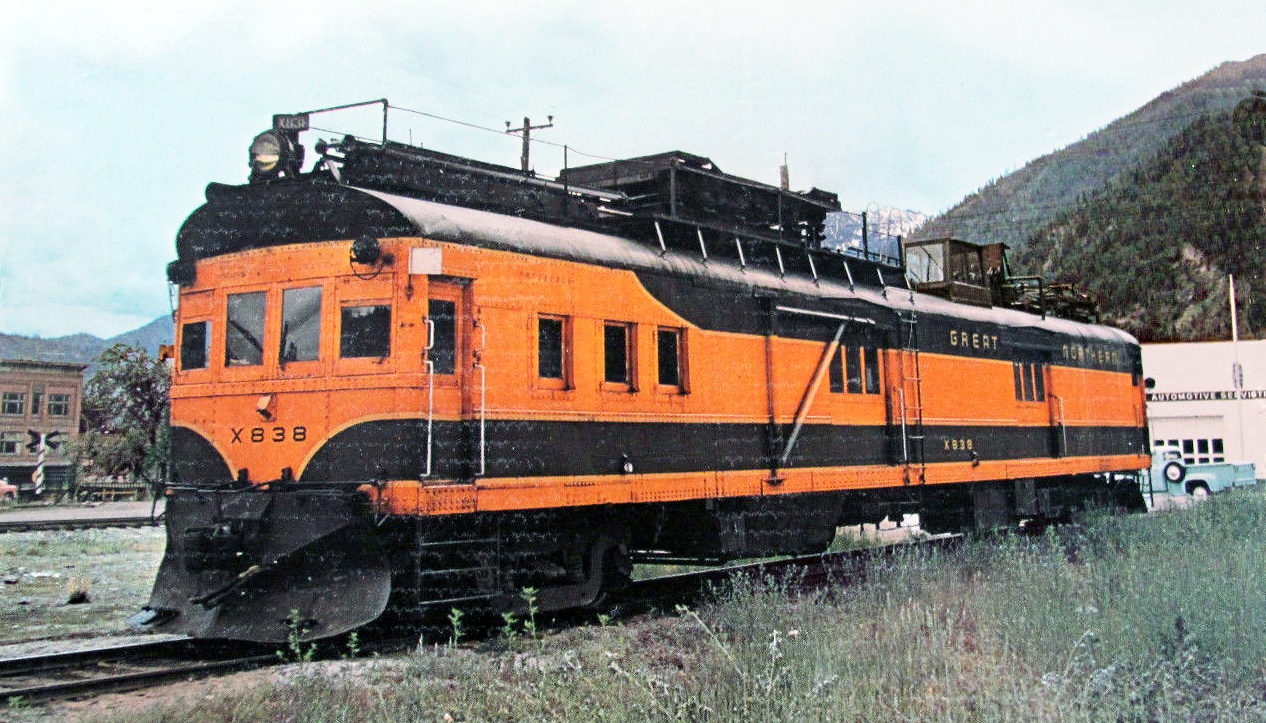 transpress nz: Great Northern doodlebug