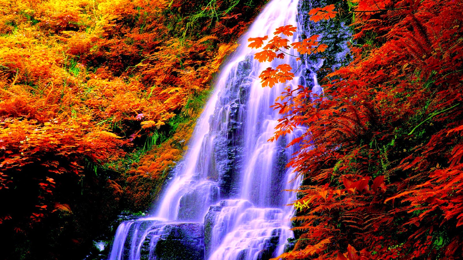 Magie de Toamna - Peisaje Frumoase de Toamna | Poze Super Misto