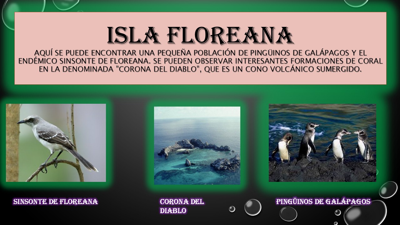 EL TURISMO EN EL ECUADOR : Región Insular o Galapagos, Cuarta Semana