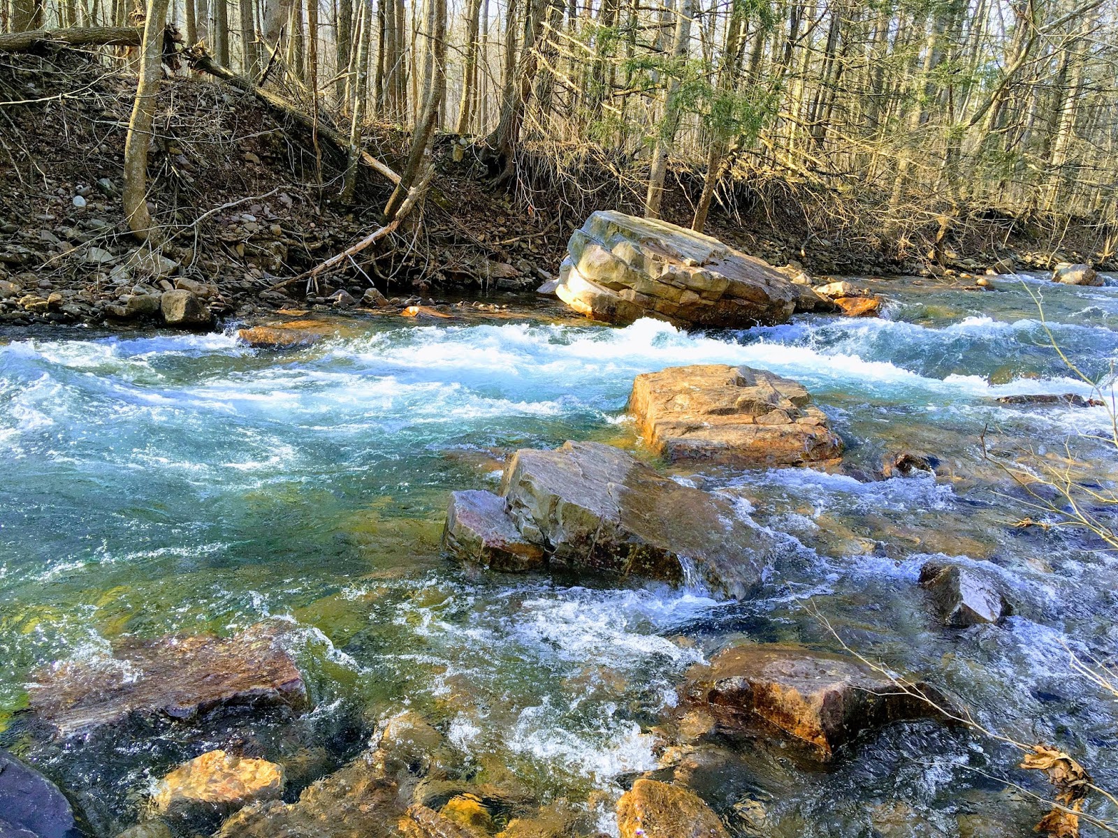 Into The Laurel : Dry River (A National Forest Gem)