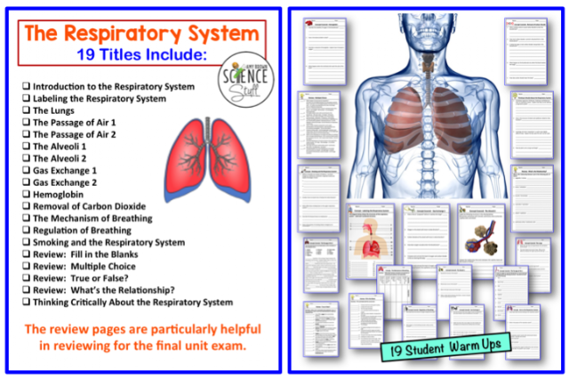 Amy Brown Science: Respiratory System Warm Ups and Interactive Notebook ...