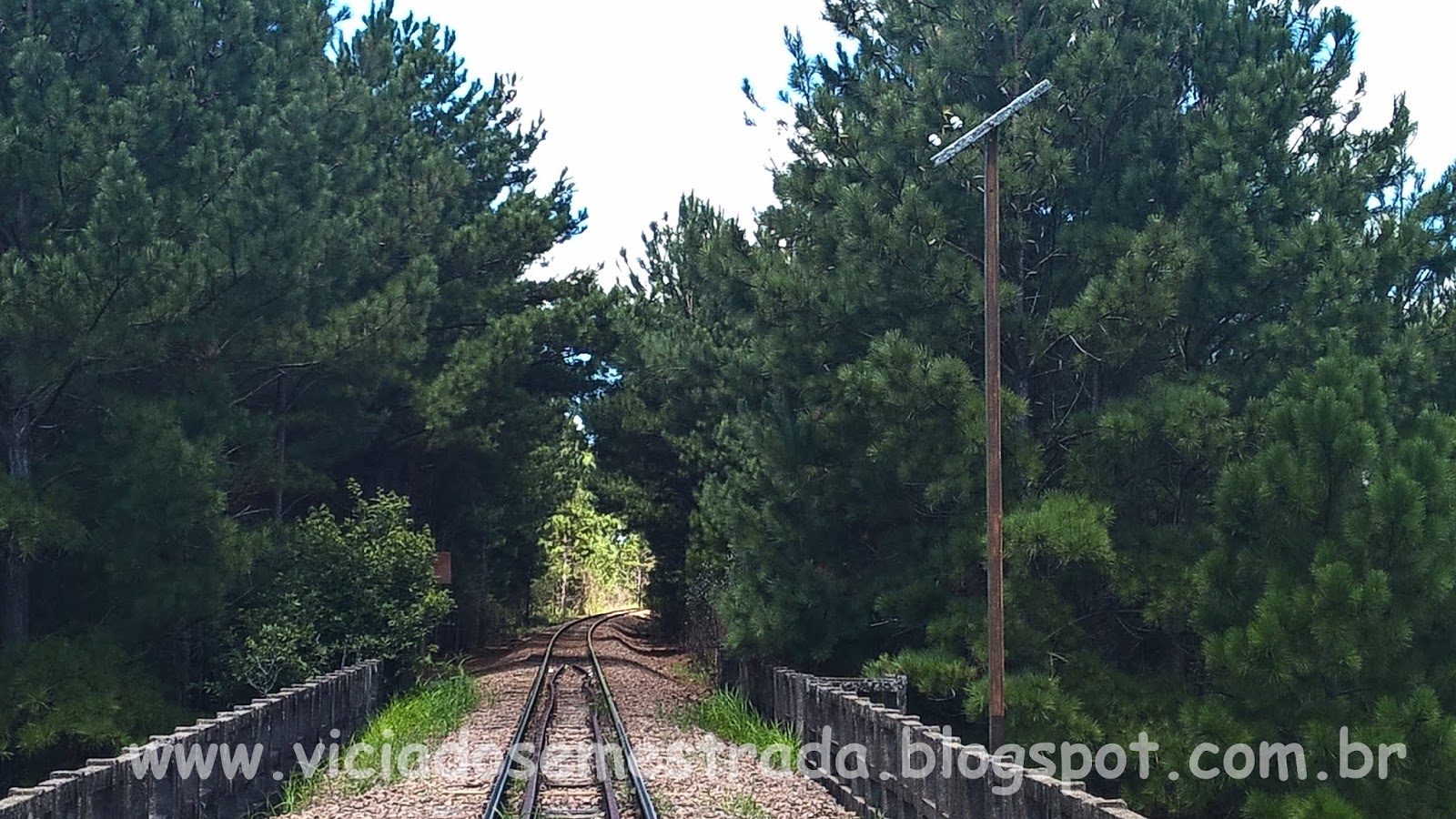 A Rota dos Trigais: Marau - RS