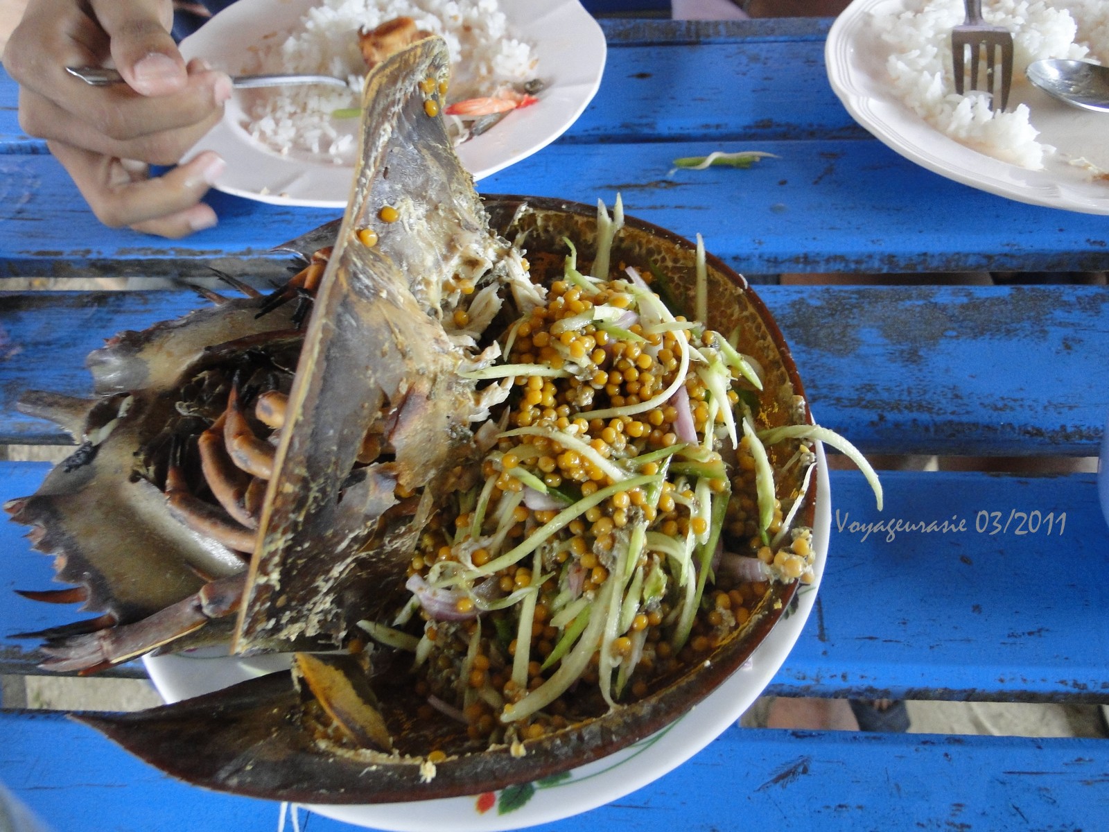 Voyageurasie-Obeo and Paï Chroniques de Thaïlande et d'Isan: Thaïlande ...