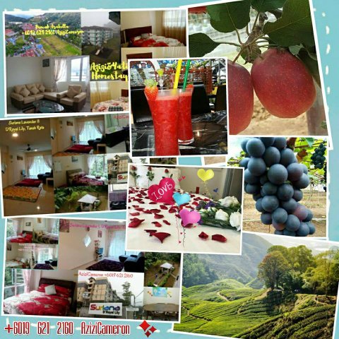 mrkumai.blogspot.com: Senarai Poster Apartment Percutian di Cameron ...