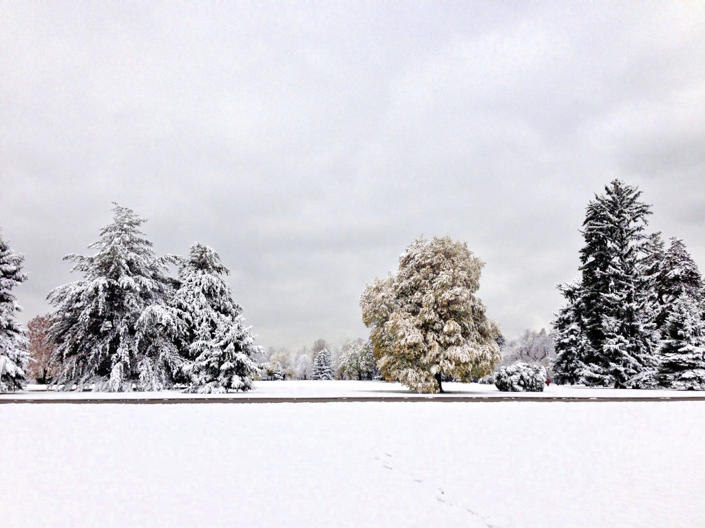 One Good Thing: A Muted Landscape