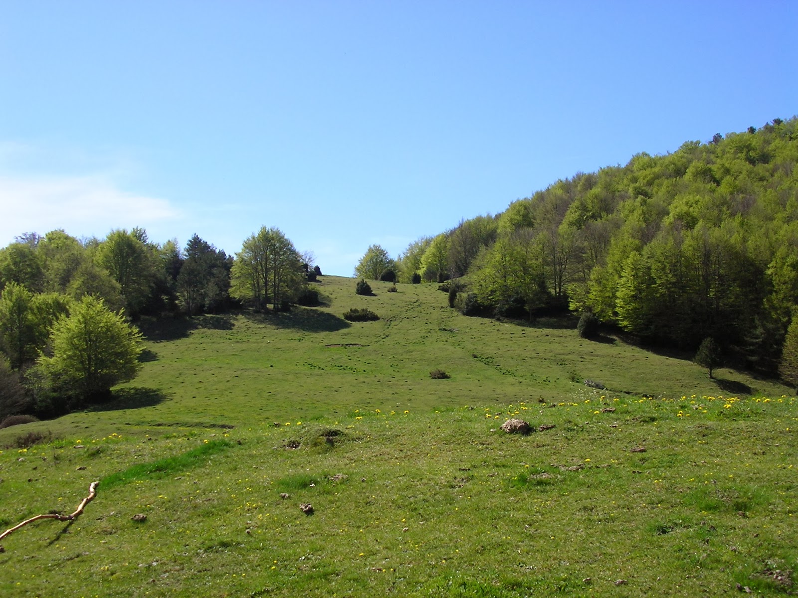 SI VENS AL RIPOLLÈS NO T'OBLIDIS LA BICICLETA: STA. MARIA DE VIDABONA