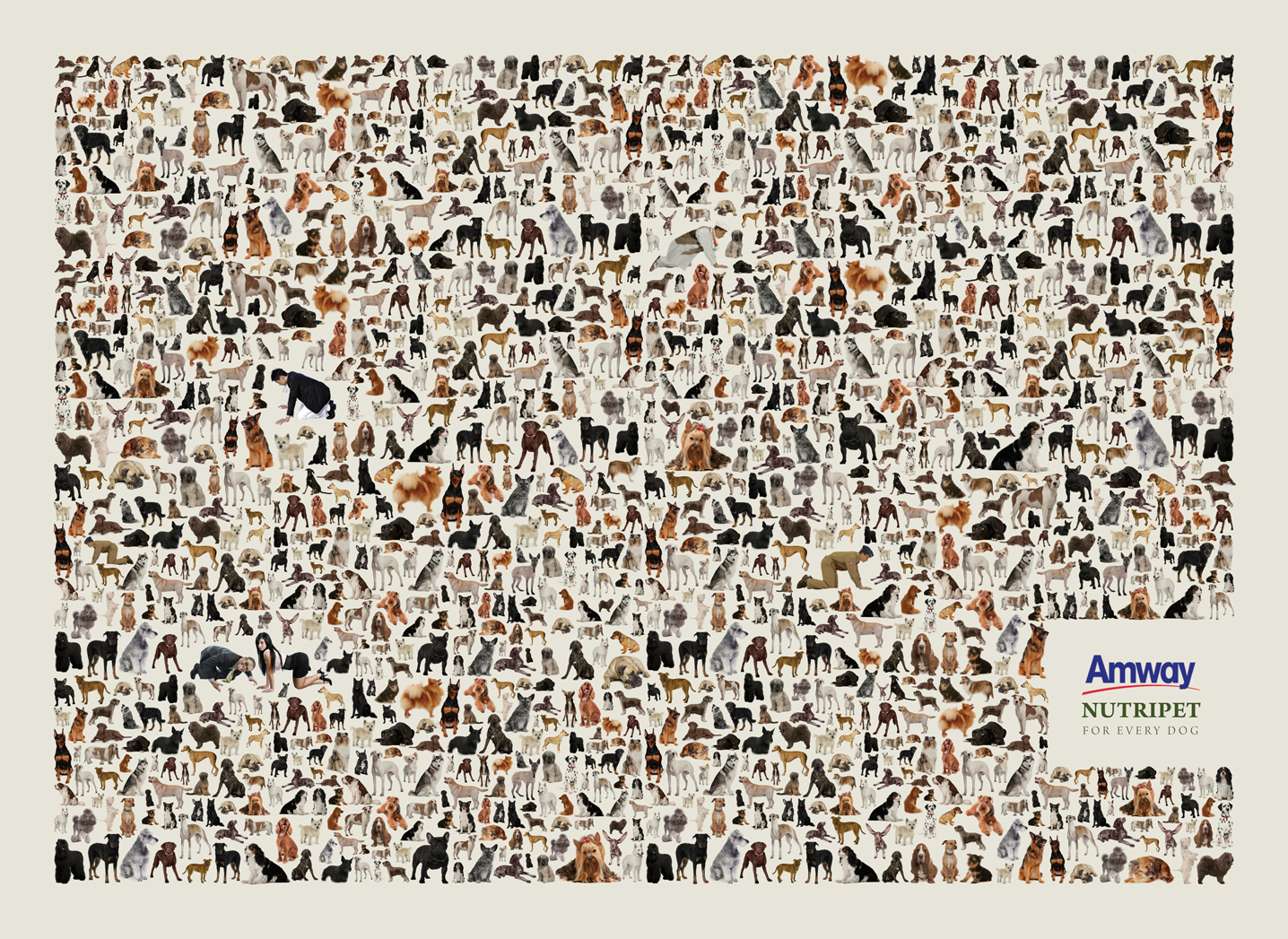 portfolio: Amway poster (Proactive)