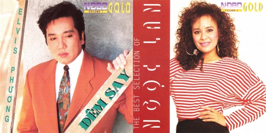 Music for you: NDBD Gold 08 - The best selection of Ngọc Lan