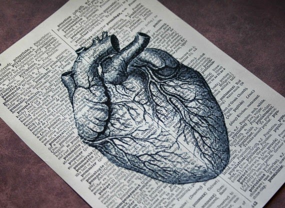 Design Anatomy : Science