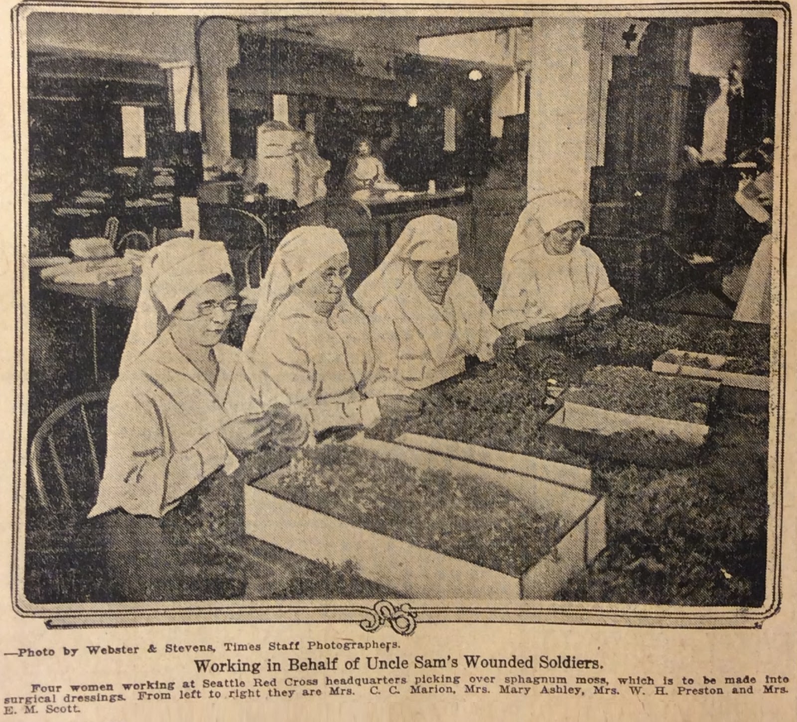 Base Hospital 50 - University of Washington: Collecting Moss for Uncle Sam